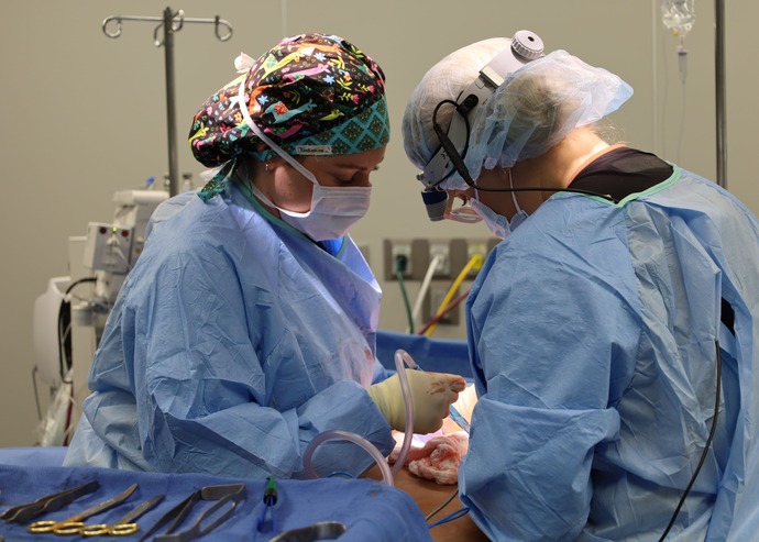 About - Jacobson Cosmetic Surgery